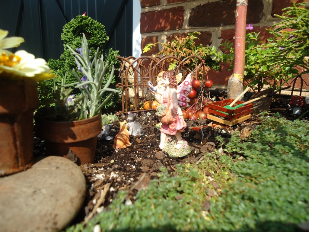 Mini Gardening - Fun is NOT Optional | J. W. Townsend Landscapes